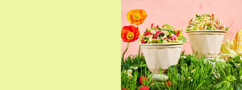 Chopt Creative Salad Co.